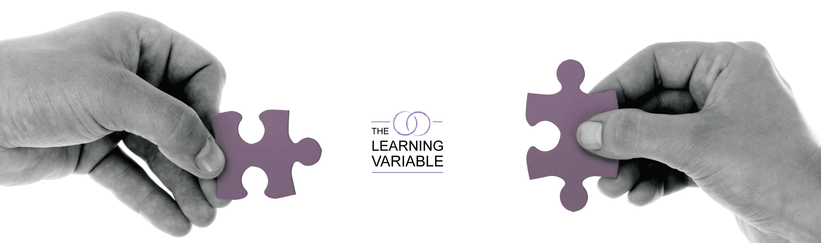 Our Approach - The Learning Variable